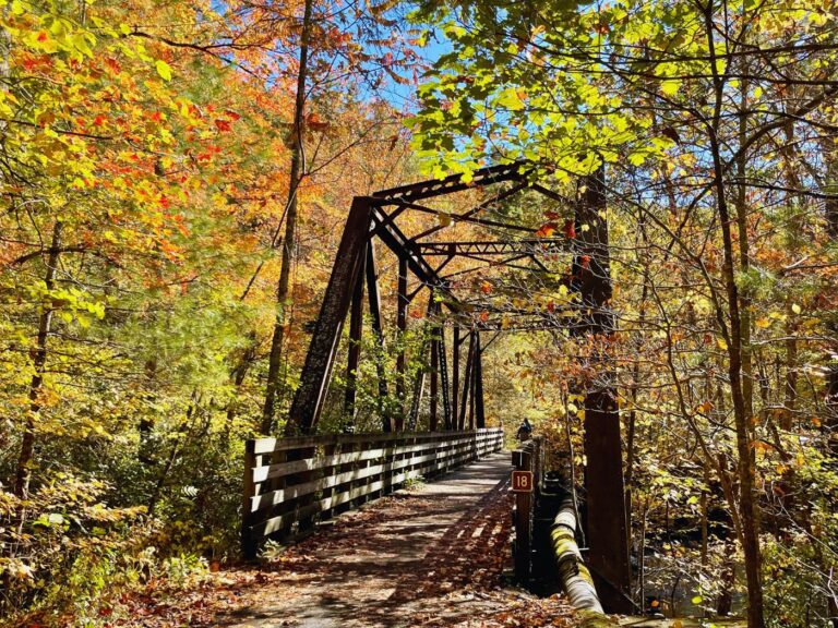 Your Ultimate Guide to the Virginia Creeper Trail